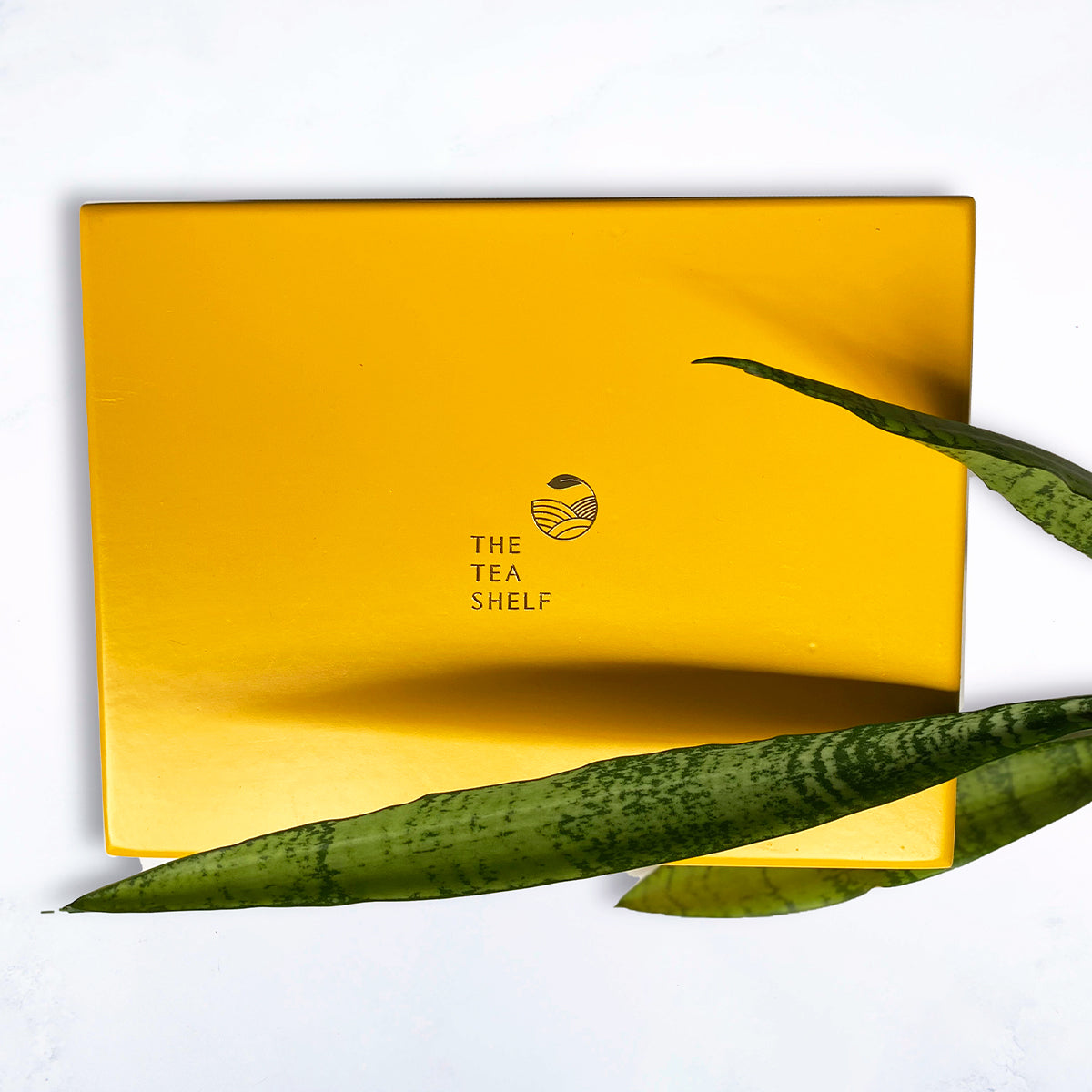 Tea Chest - Tea Gift Box (Pack of 60) – The Tea Shelf